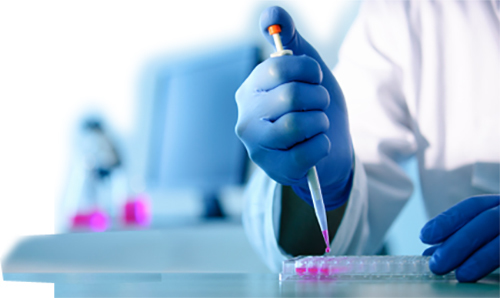 Pcr-papiloma-virus-humano